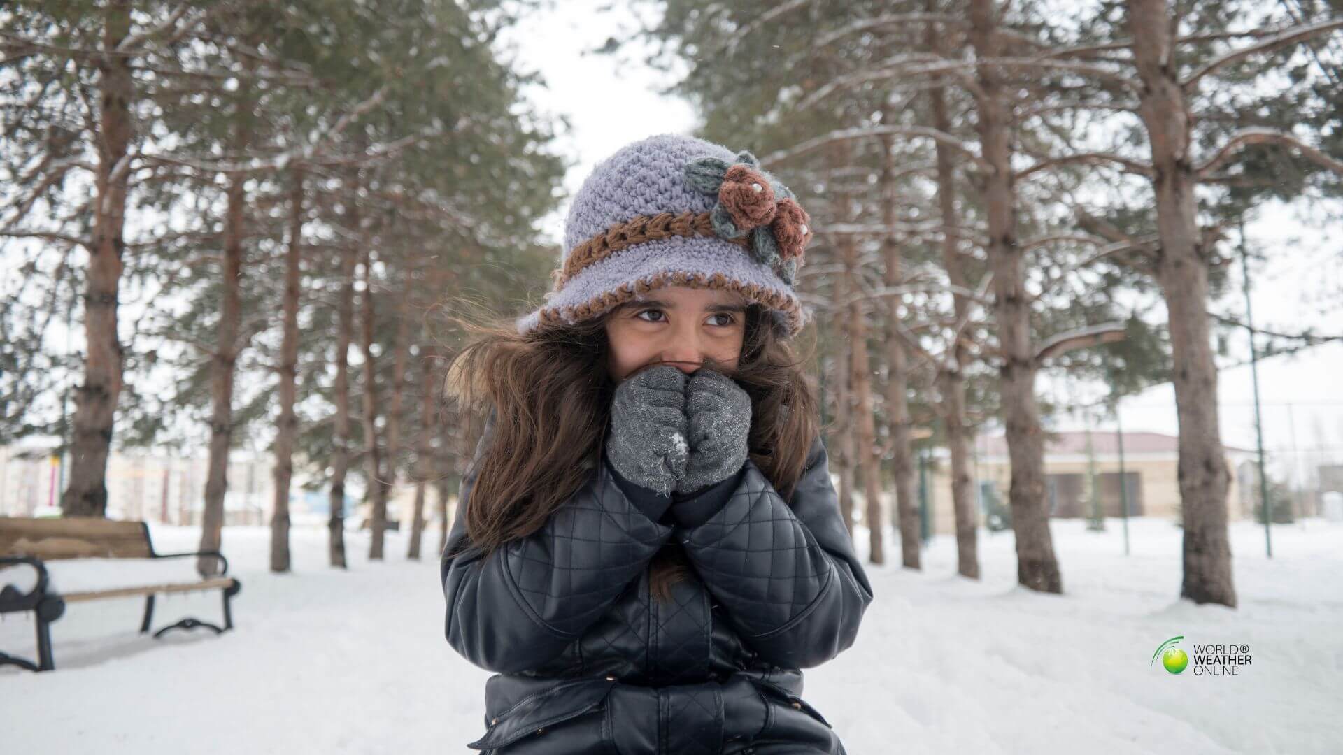 La Niña Returns: How the 2025–2026 Winter Could Shift Weather Patterns ...