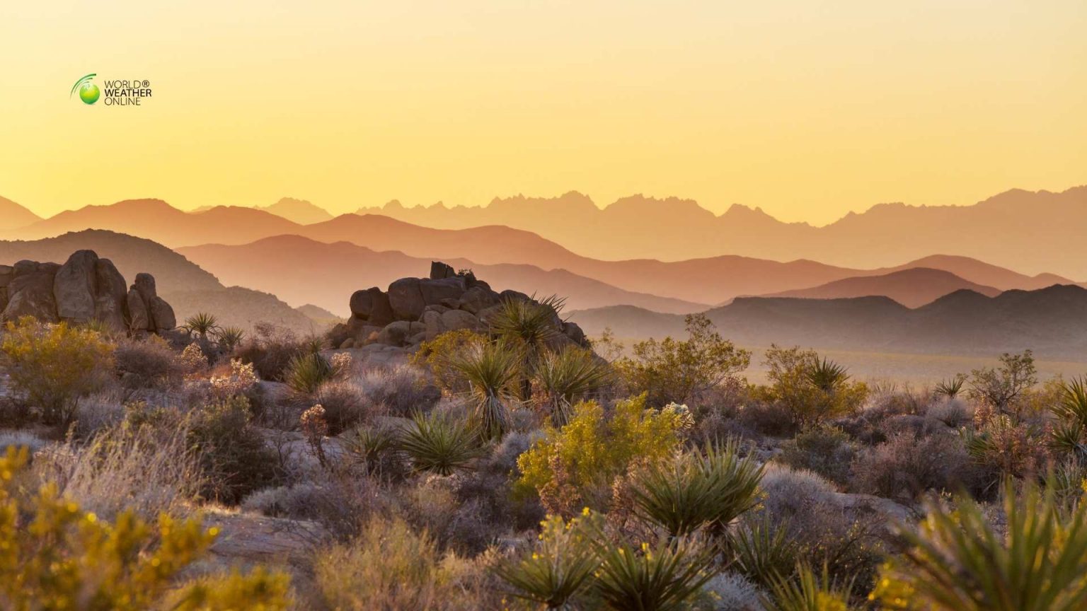 Desert Travel Guide: Top Locations with Perfect Weather for Scenic ...