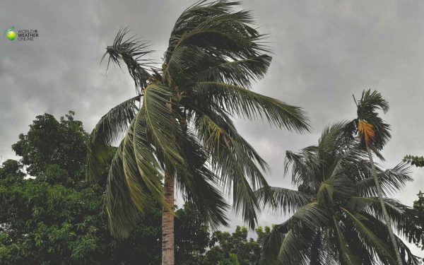 Cyclone Narelle Leaves a Trail of Destruction Across Northern Australia ...