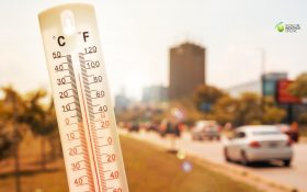Europe’s Sudden Heat Surge: From Arctic Chill to Record May ...