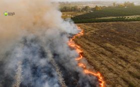 Global Fire Outbreaks Hit Record Levels: Why 2026 Could Become a ...